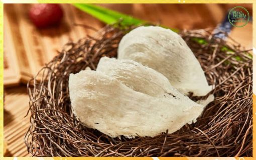Yến sào Baby Nest - Yến sào cho trẻ biếng ăn - Ghiền Food